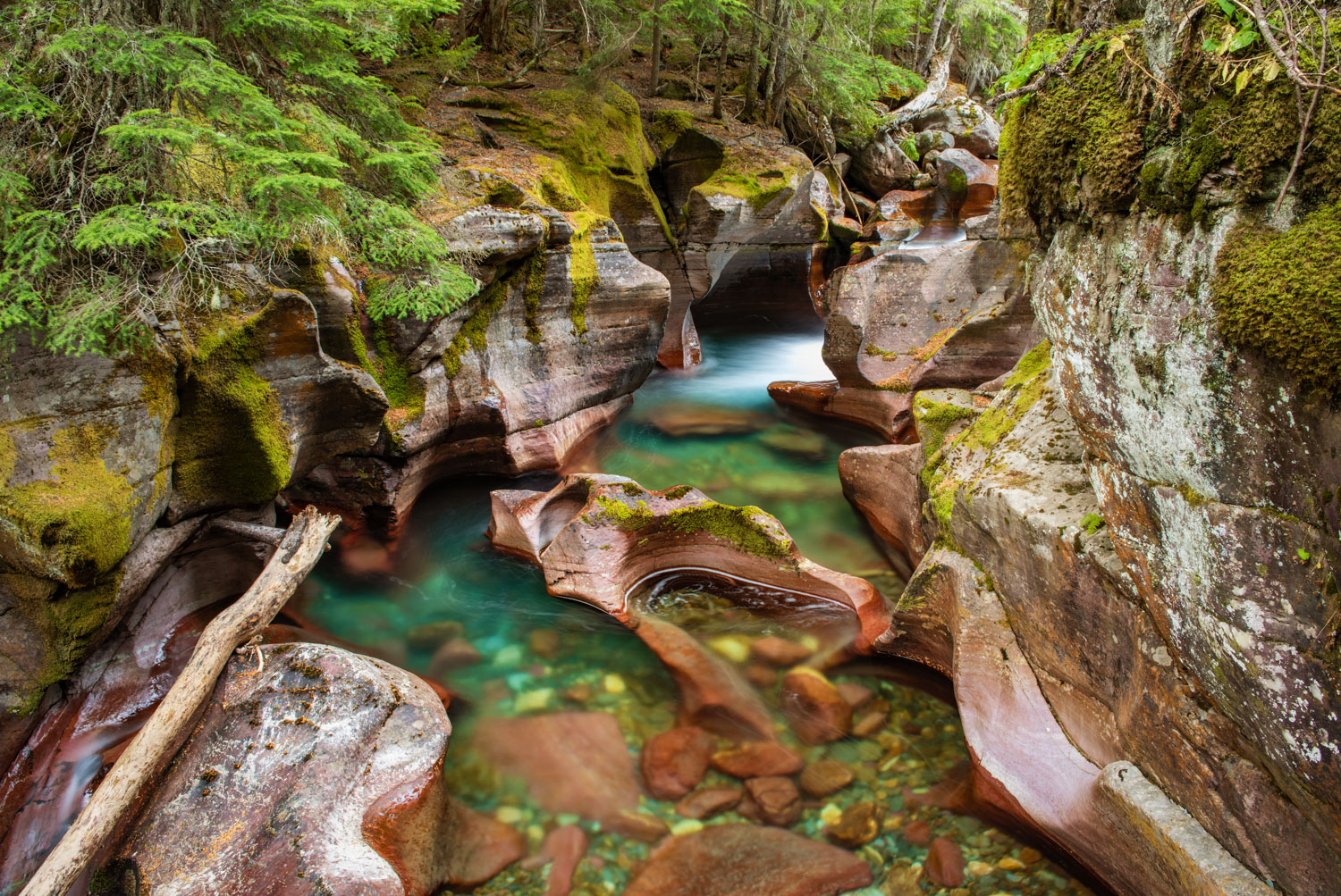 Avalanche Creek Many Glacier Glacier National Park Montana Craig