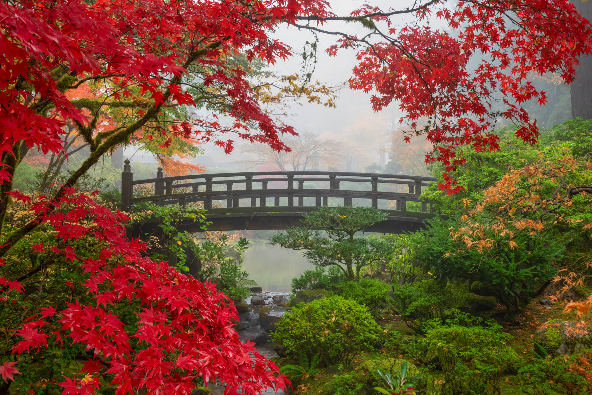 Portland Japanese Garden Autumn Bridge Portland Japanese Garden
